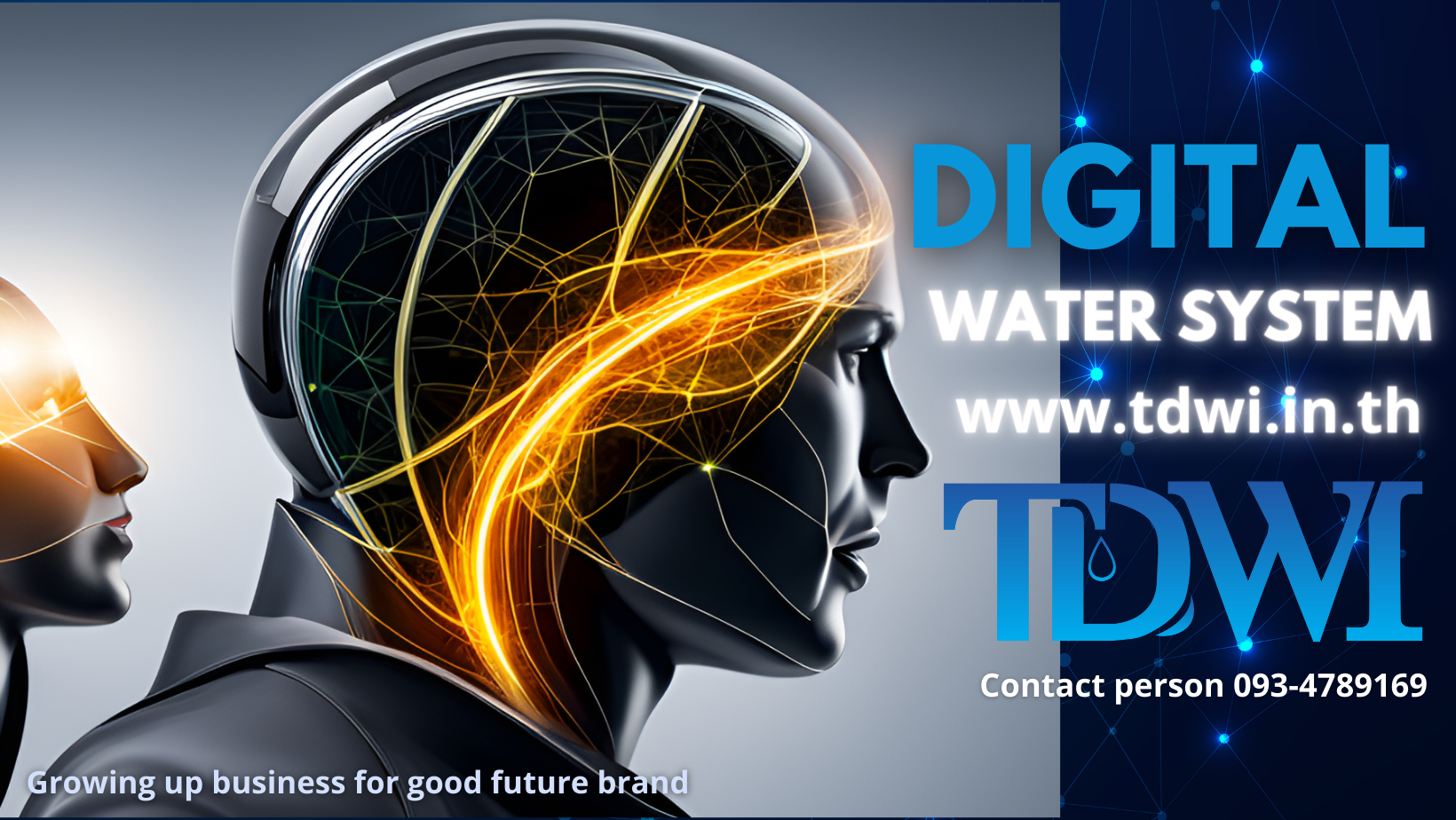 Internal Rate of Return – TDWI